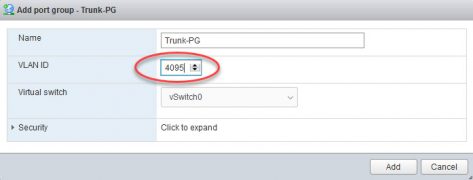 Trunk Port in VMware ESXi | Blue Network Security