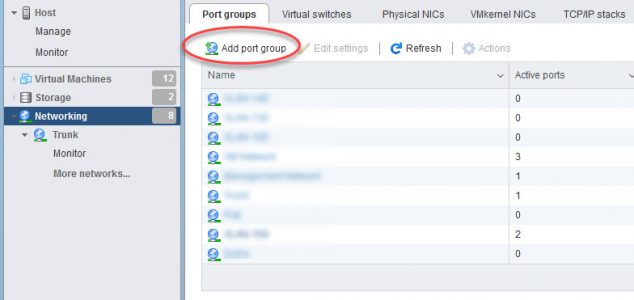 Trunk Port in VMware ESXi | Blue Network Security
